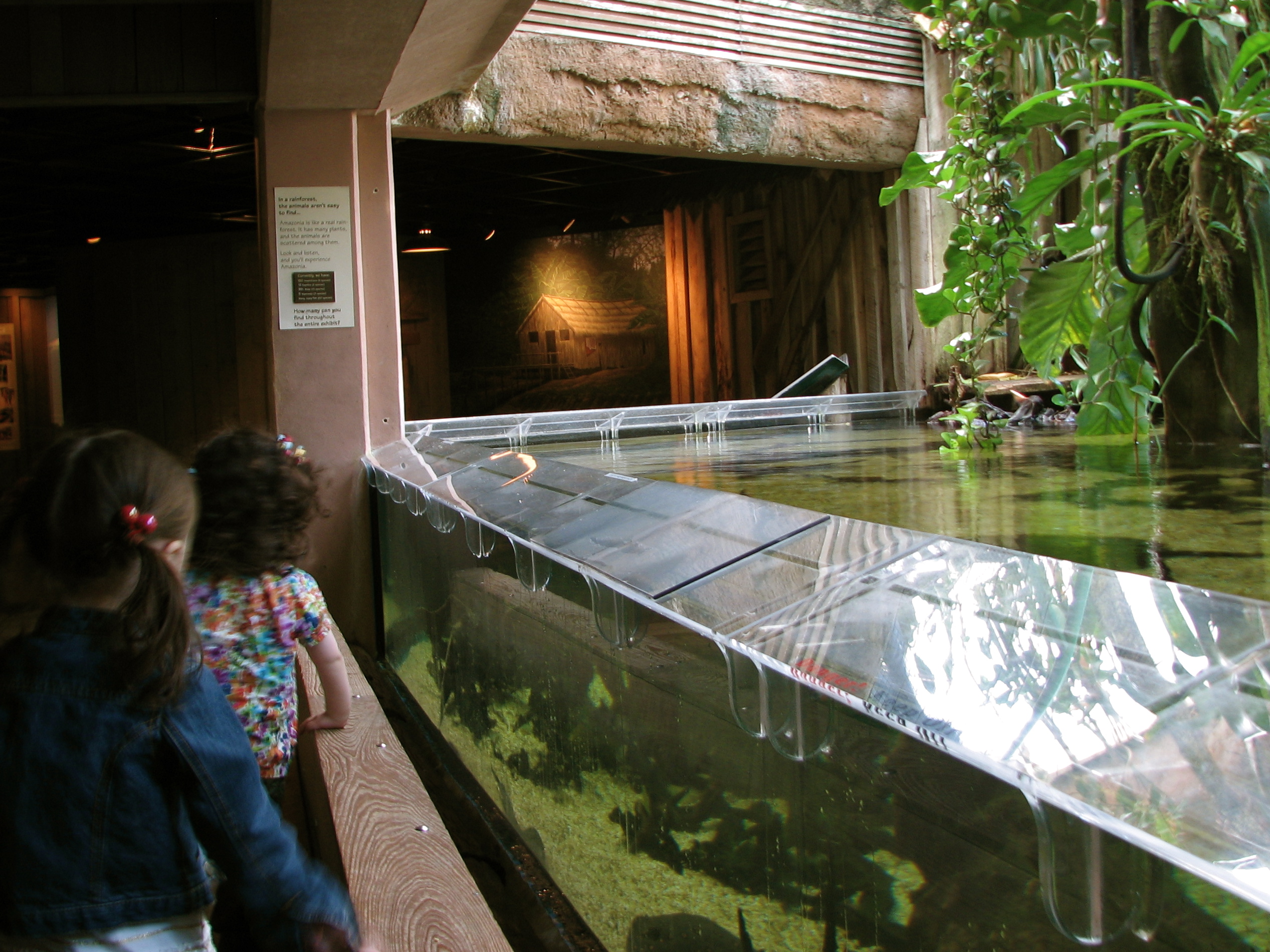 National Zoo in DC | Chuzai Living