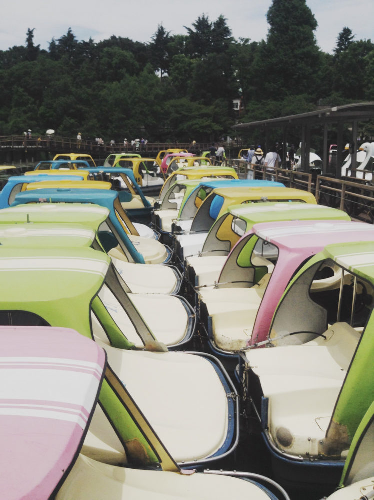 Inokashira Park ☆ Kichijoji Tokyo | Chuzai Living