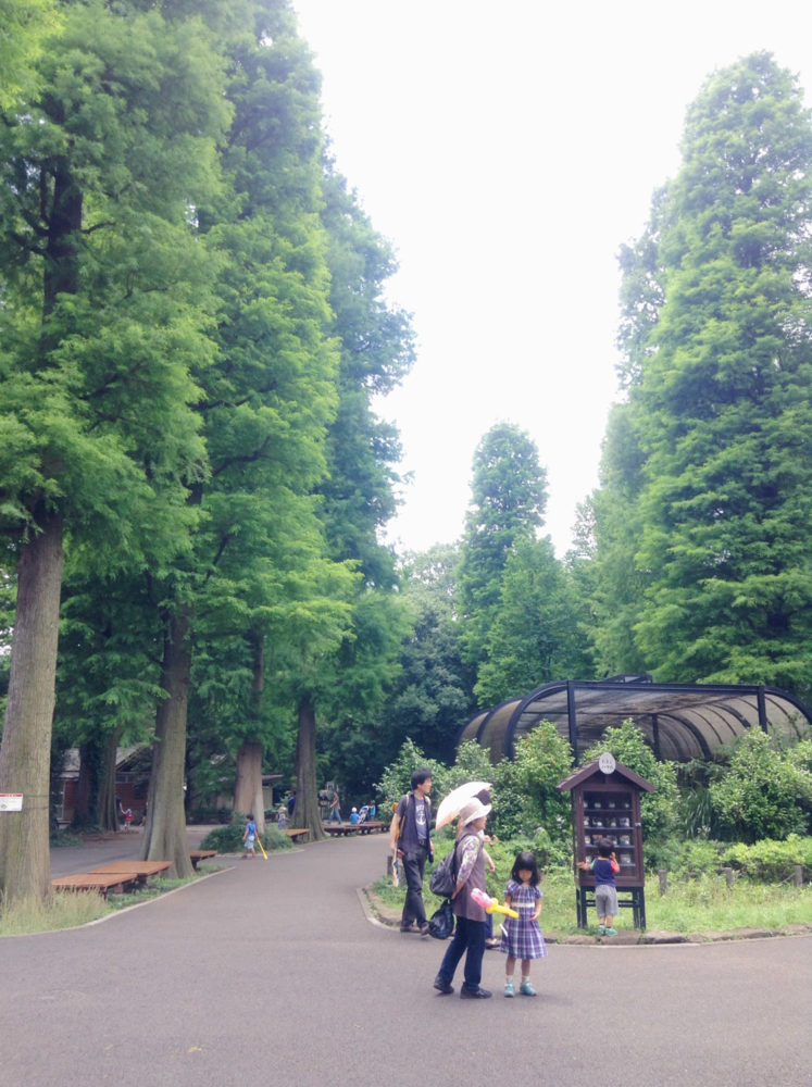 Inokashira Park ☆ Kichijoji Tokyo | Chuzai Living