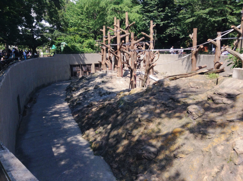 Inokashira Park ☆ Kichijoji Tokyo | Chuzai Living